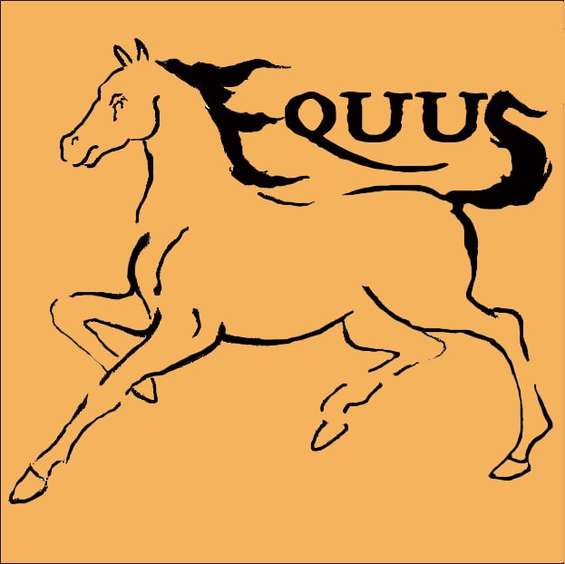 Review: ‘Equus’ at The Forge Theatre - DC Theater Arts